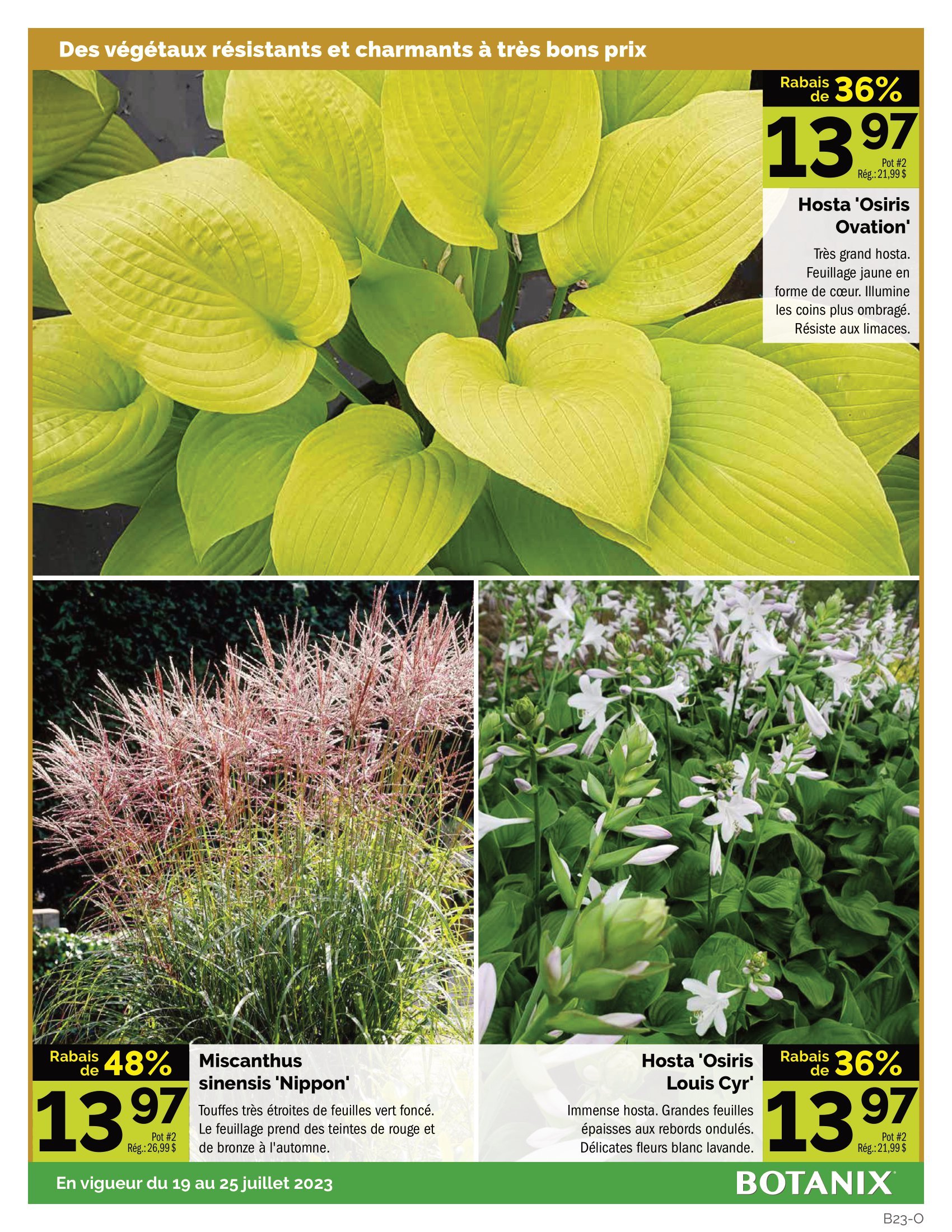 Circulaire Botanix Du 19 au 25 juillet 2023 🍁 Plusieurs Rabais 📌