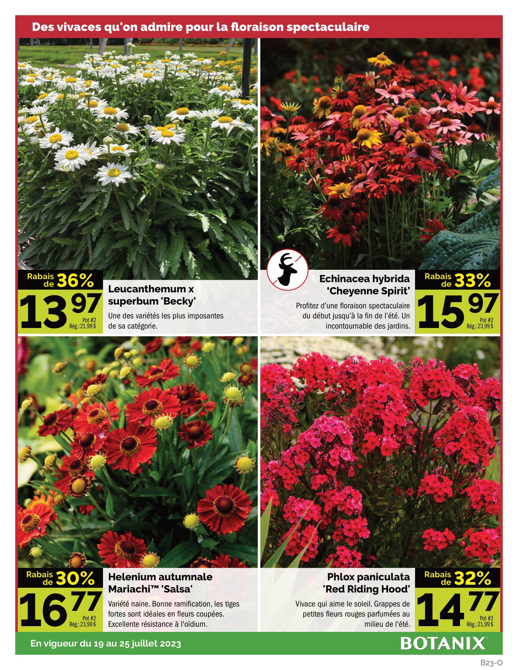 Circulaire Botanix Du 19 au 25 juillet 2023 🍁 Plusieurs Rabais 📌