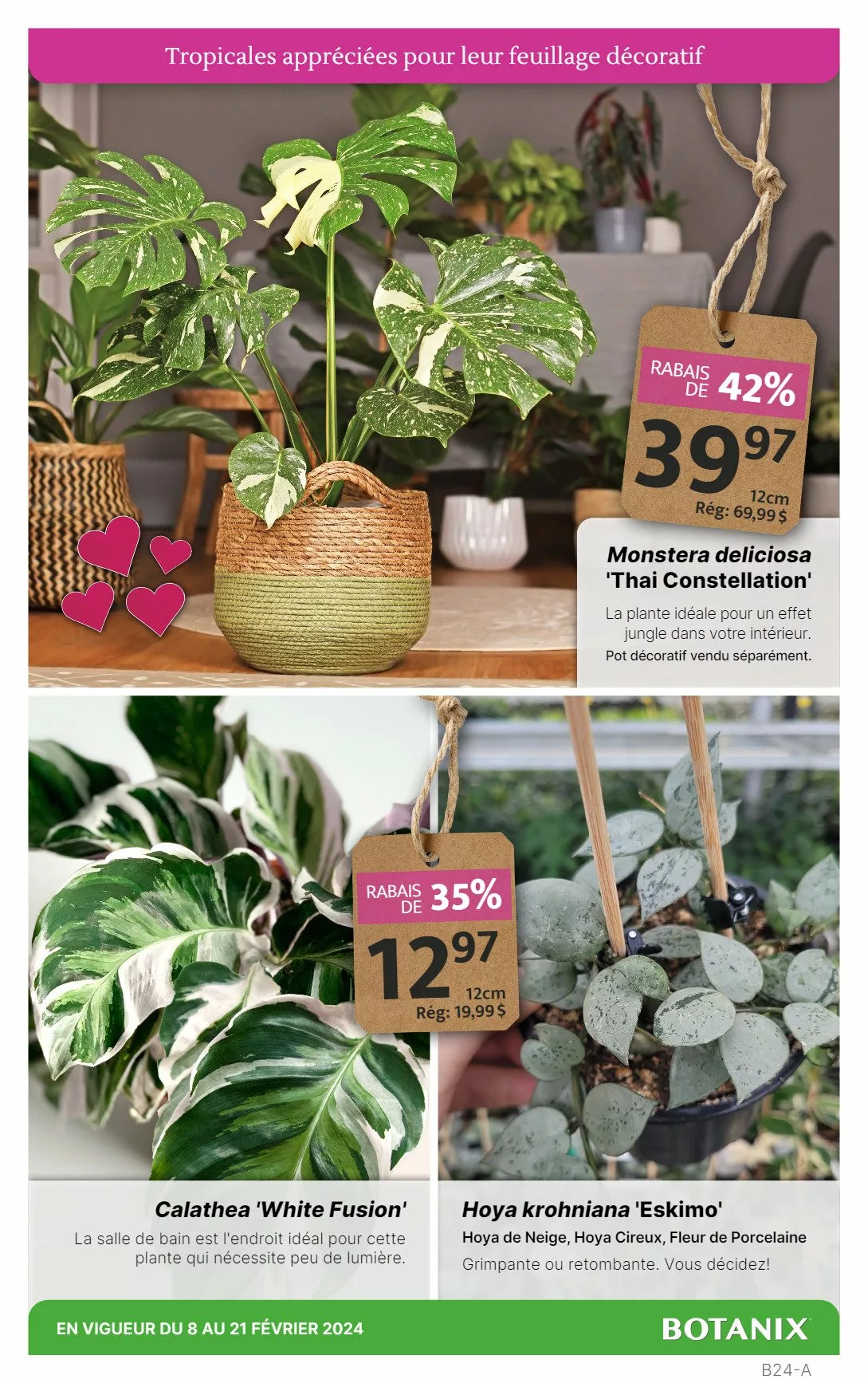 Circulaire Botanix Du 8 au 21 février 2024 🍁 Plusieurs Rabais 📌